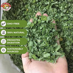 versatile moringa leaves for health