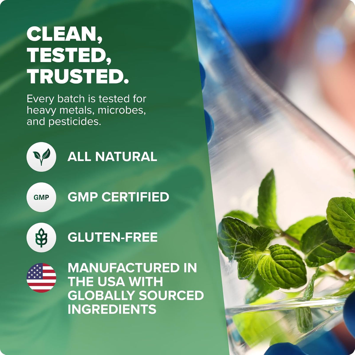 versatile moringa powder for cooking