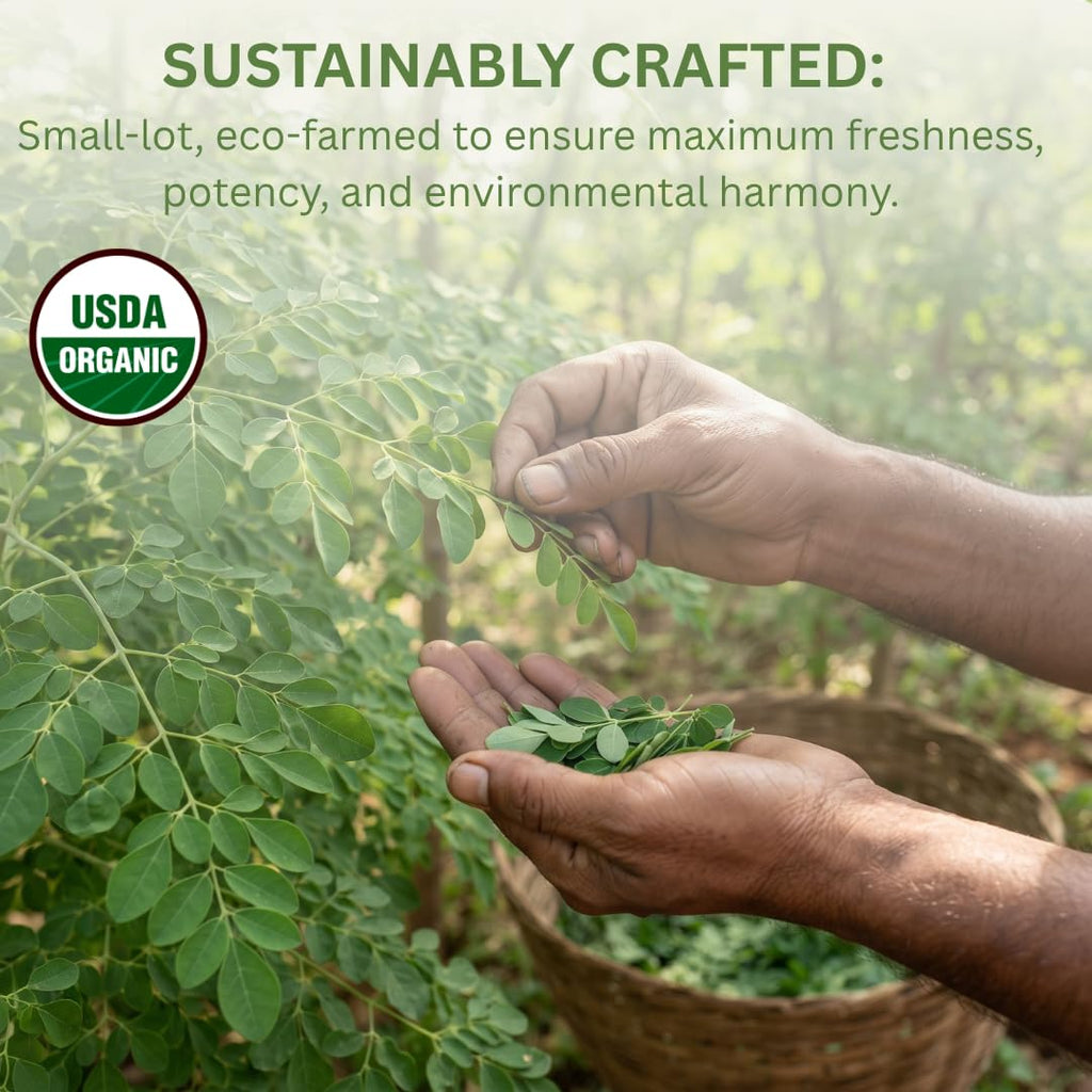 versatile moringa powder for cooking