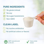 Versatile multi collagen powder benefits
