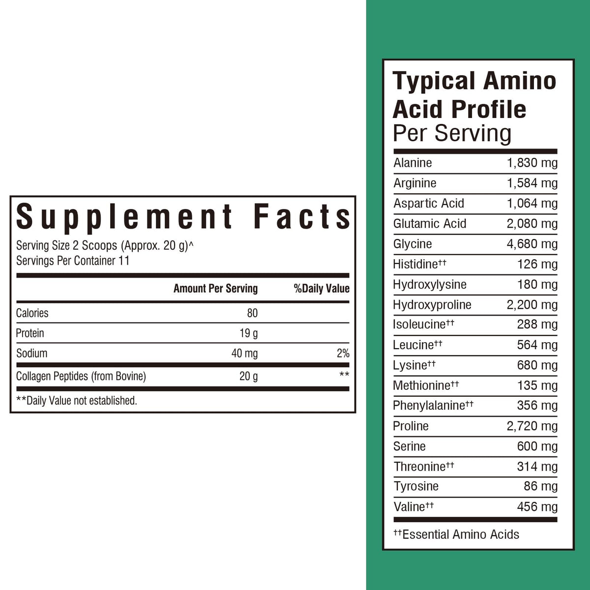 Versatile multi collagen powder benefits