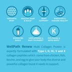 versatile multi collagen powder blend