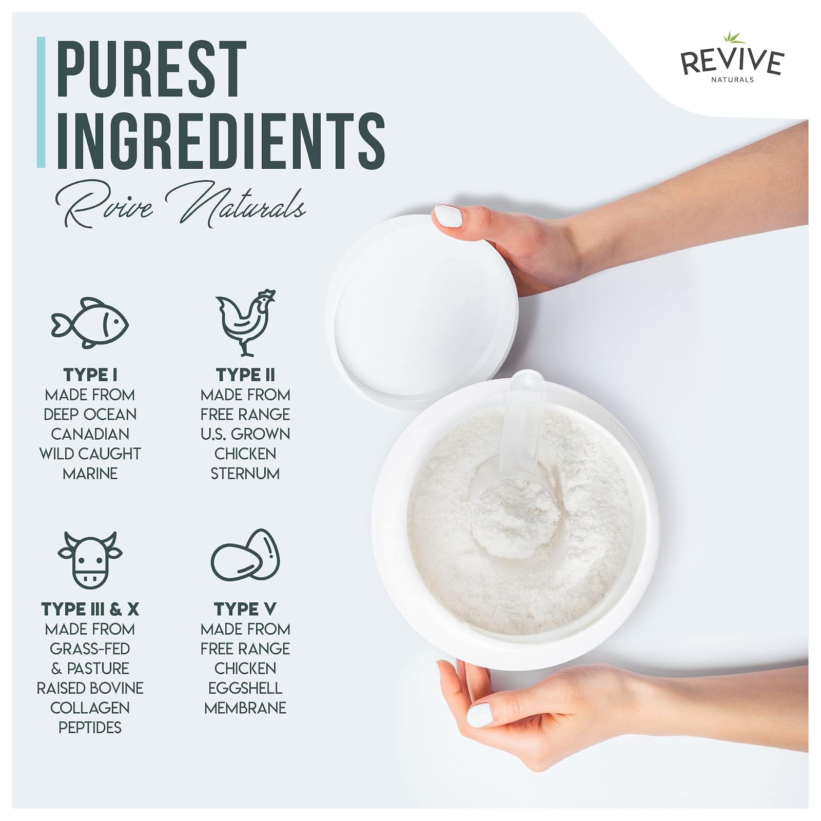 versatile multi collagen protein supplement