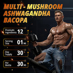 Versatile mushroom extract for smoothies