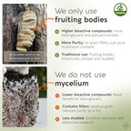 versatile mushroom powder for baking