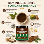 versatile mushroom powder for cooking