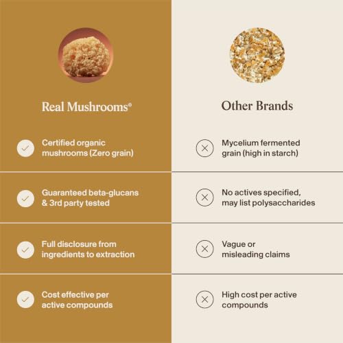 versatile mushroom powder for recipes