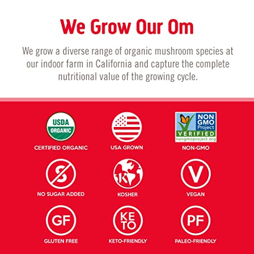 versatile mushroom powder for smoothies
