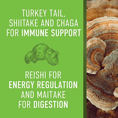 versatile mushroom supplement powder