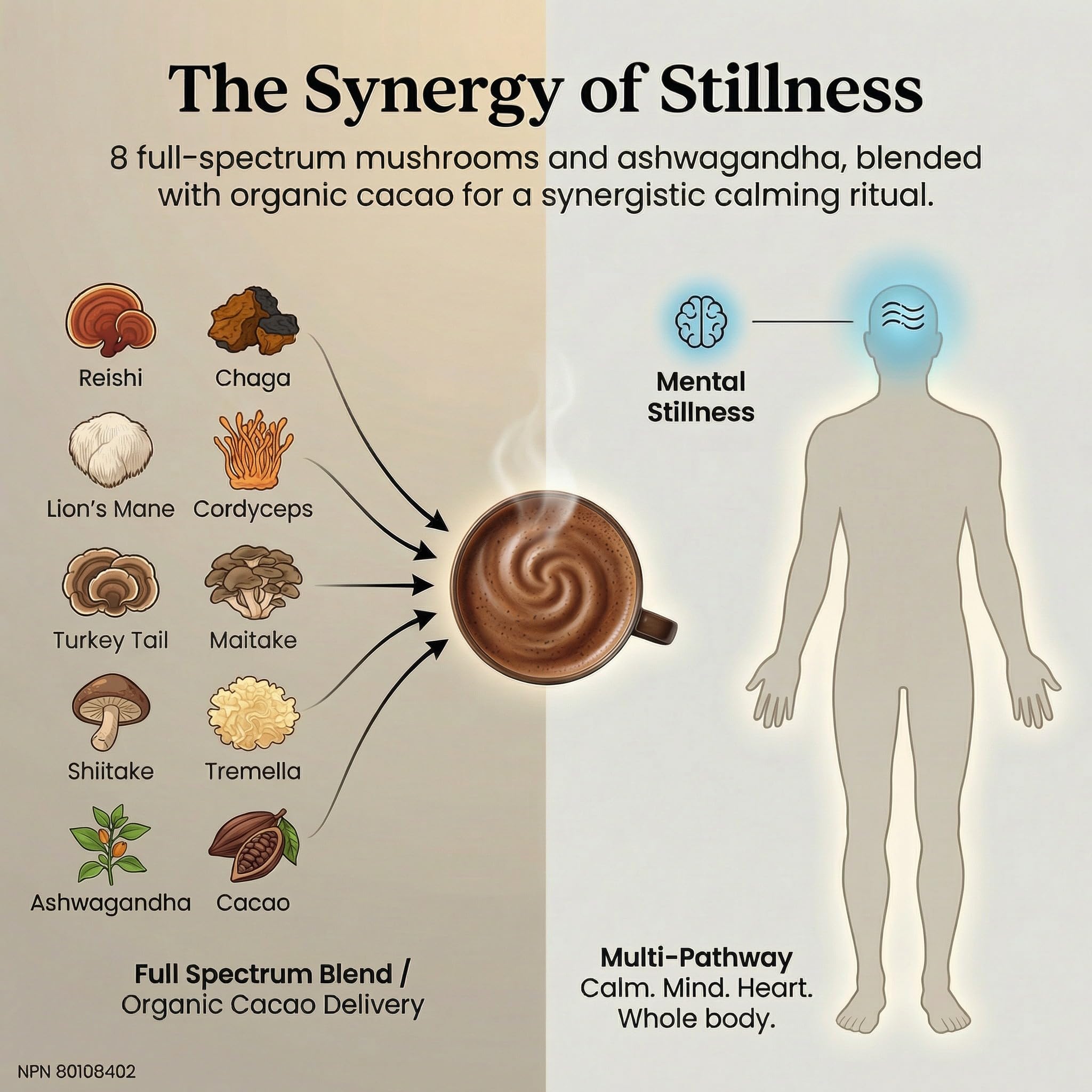 versatile mushrooms for cooking and health