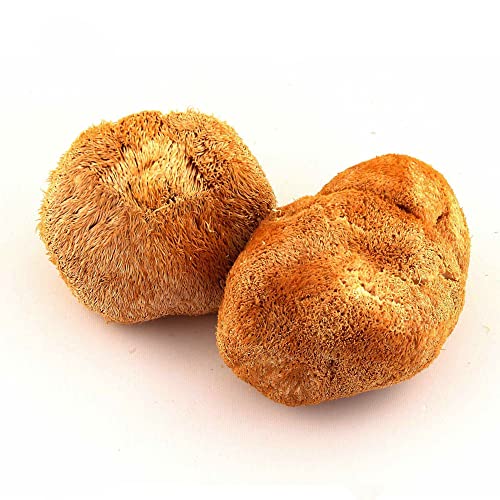 Versatile mushrooms for cooking and recipes