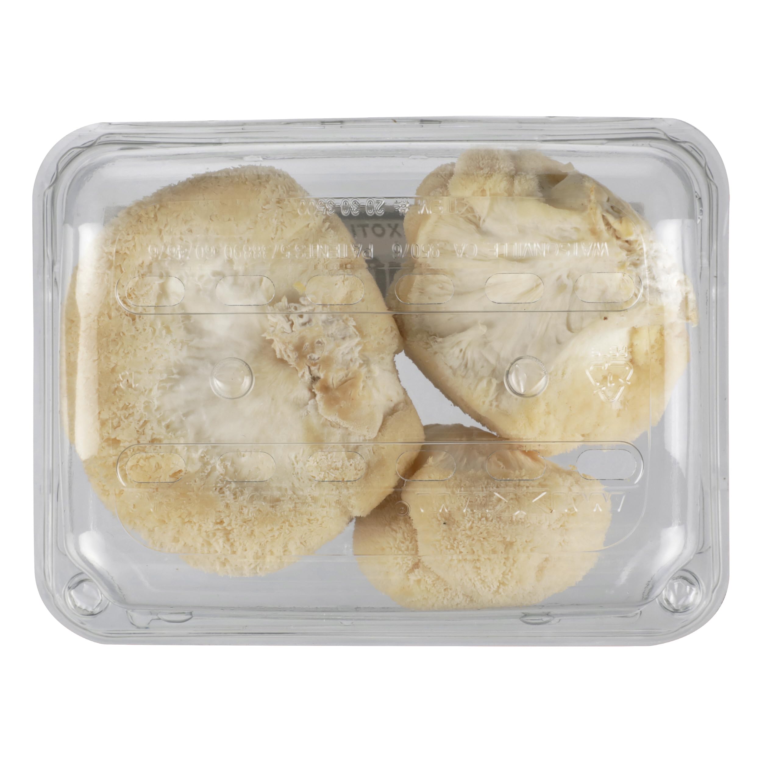 versatile mushrooms for gourmet dishes