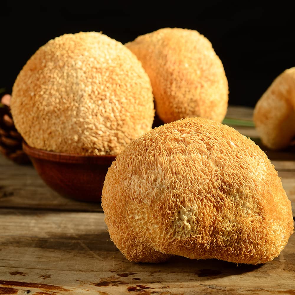 versatile mushrooms for gourmet dishes
