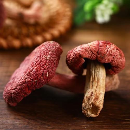 versatile mushrooms for gourmet dishes