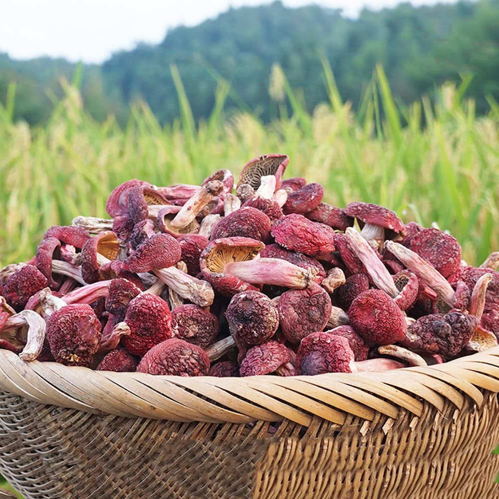 versatile mushrooms for gourmet dishes