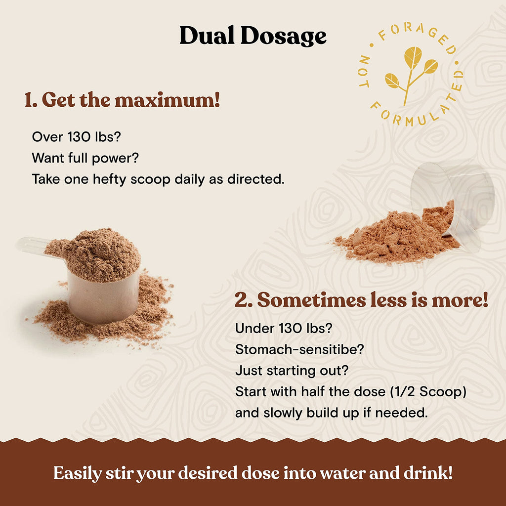 versatile mushrooms for health and vitality