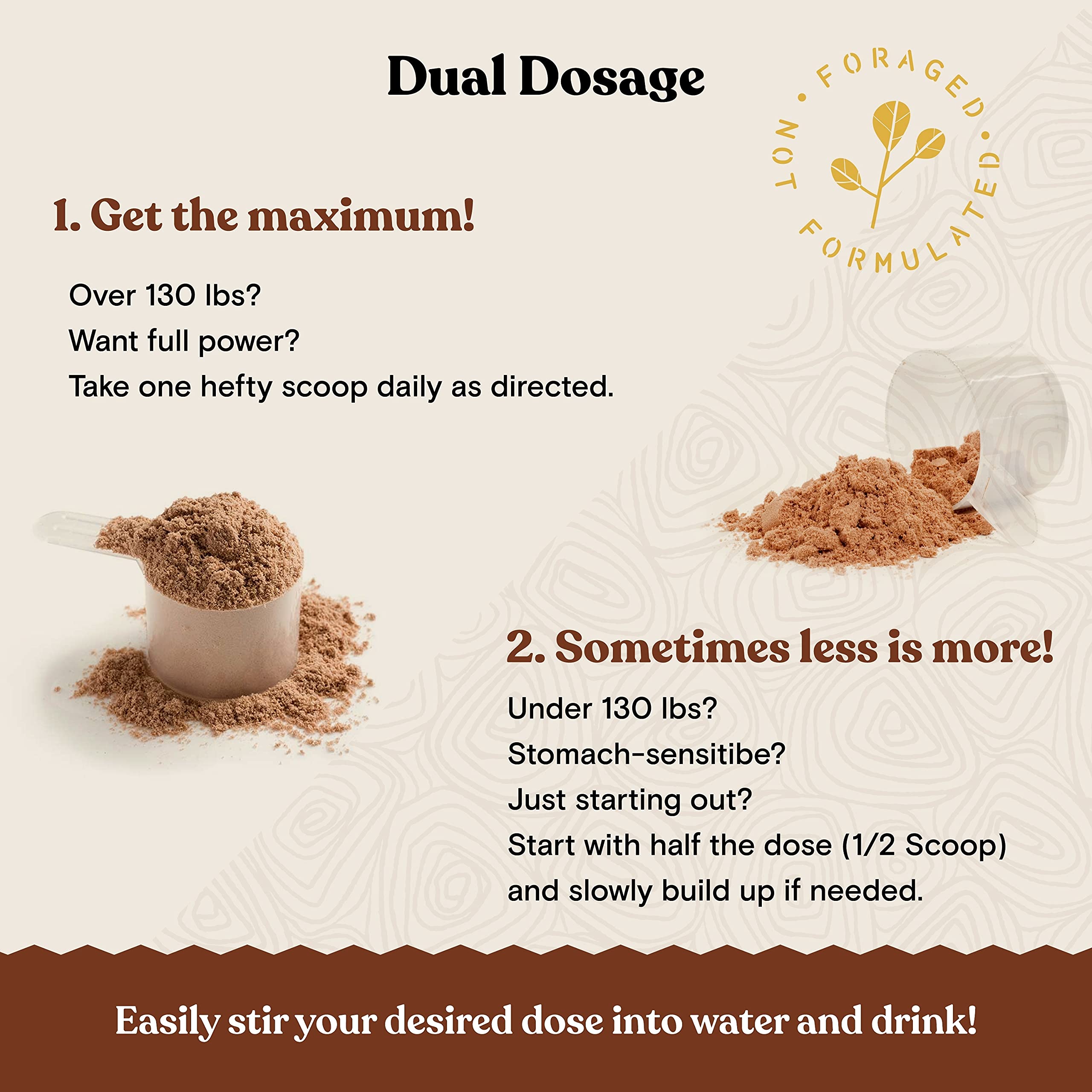 versatile mushrooms for health and vitality