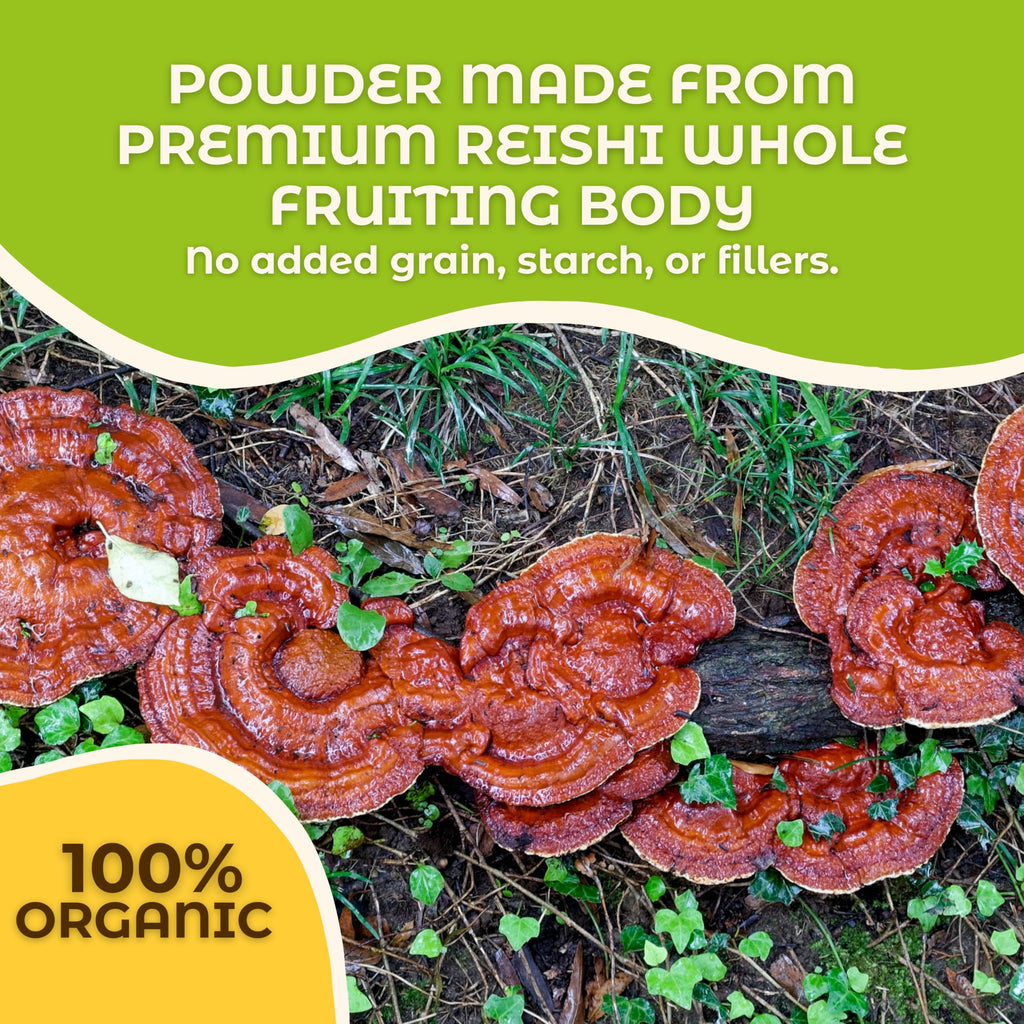 Versatile mushrooms for smoothies and recipes