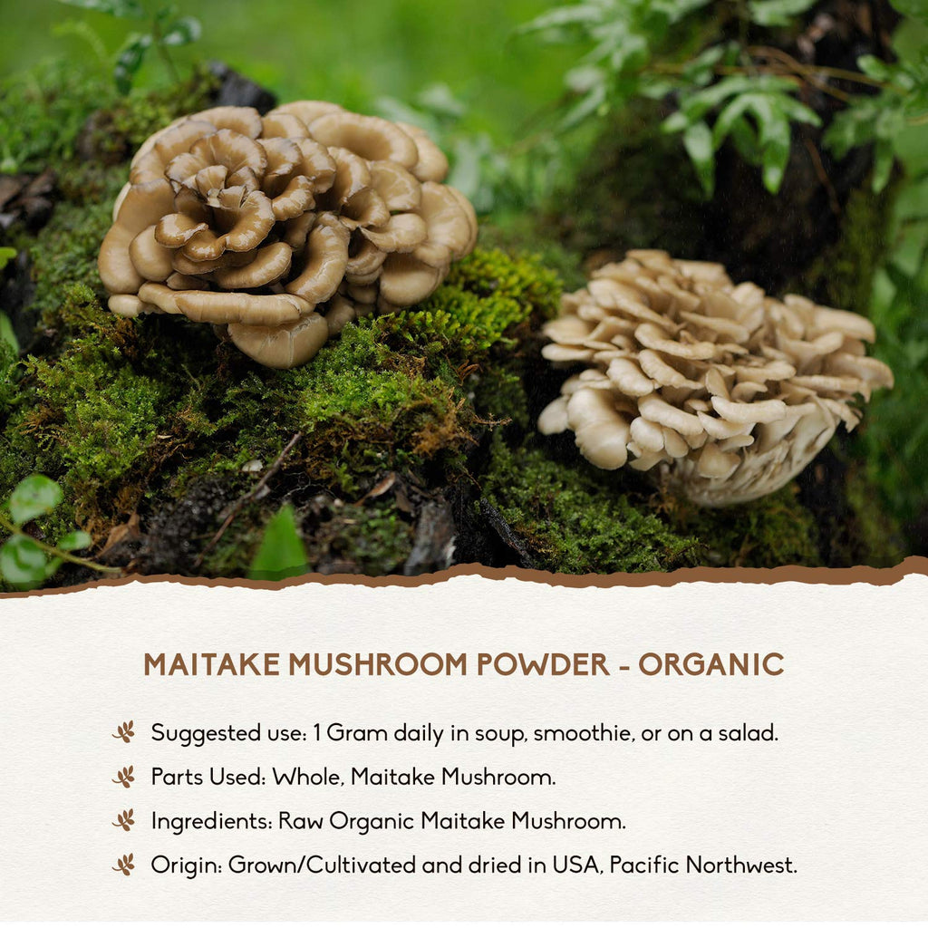 versatile mushrooms for smoothies and recipes