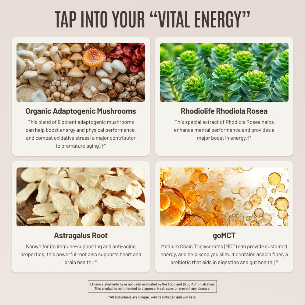 versatile mushrooms for smoothies and shakes