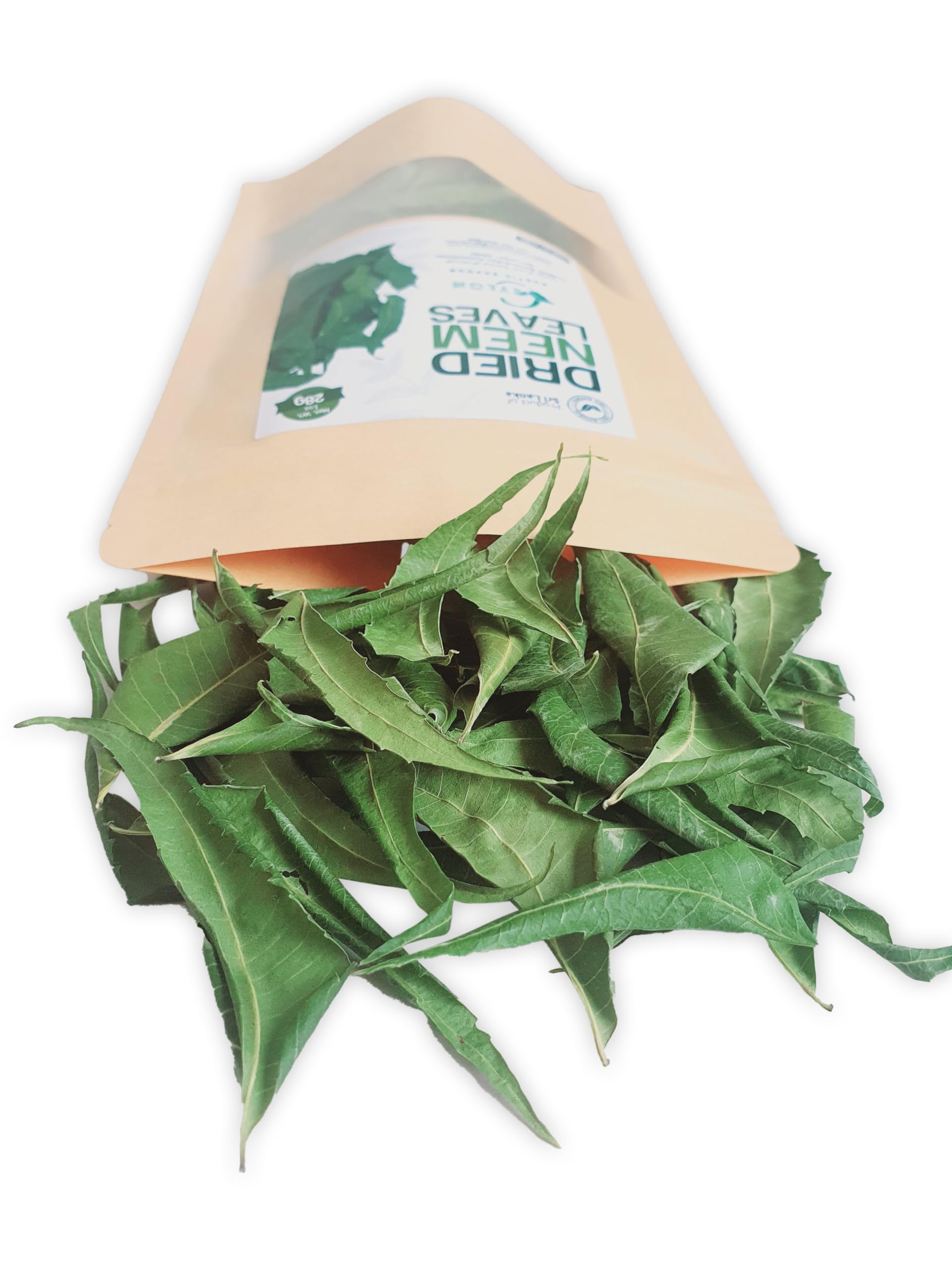 Versatile neem leaves for cooking