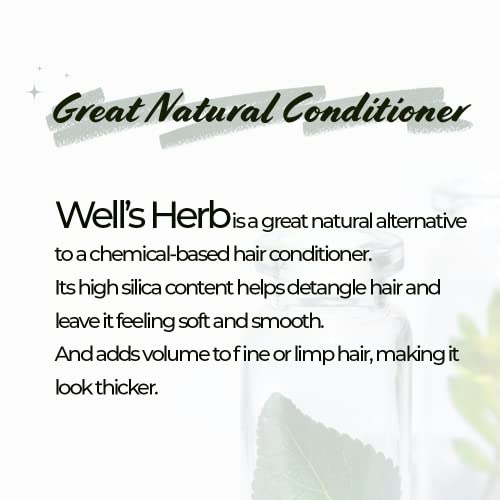 versatile nettle for health projects
