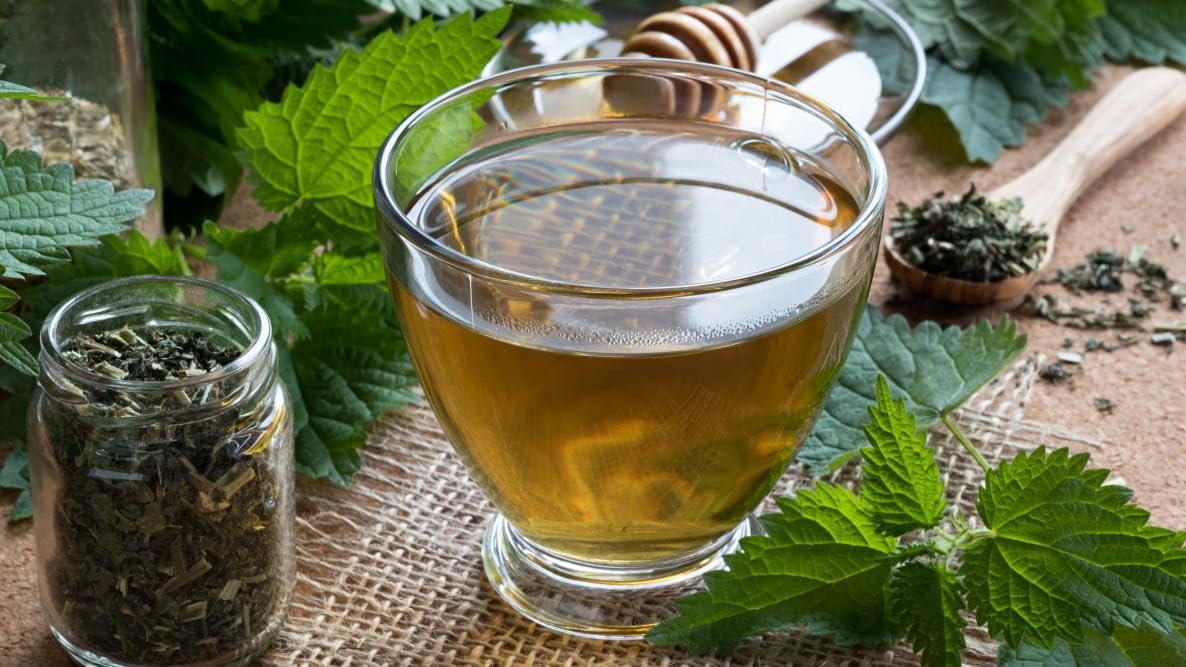 versatile nettle seed uses