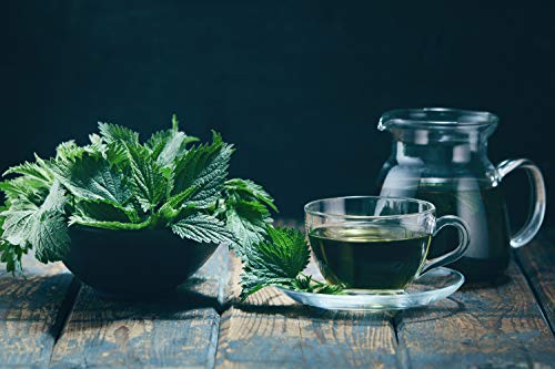 versatile nettle tea for recipes