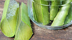 versatile organic aloe vera uses