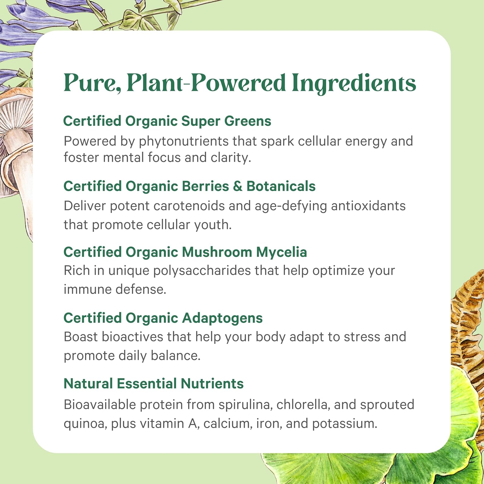 versatile organic superfood powder for recipes
