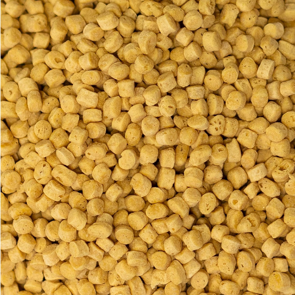 versatile plant based protein option