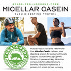 Versatile protein for smoothies and shakes