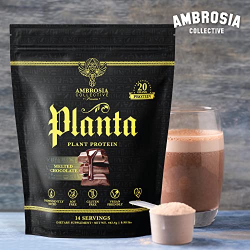 Versatile protein for smoothies and shakes