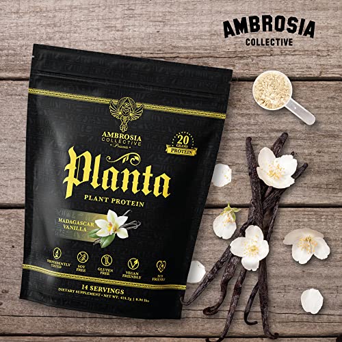 Versatile protein powder for baking