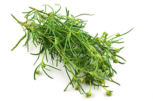 versatile psyllium for cooking needs