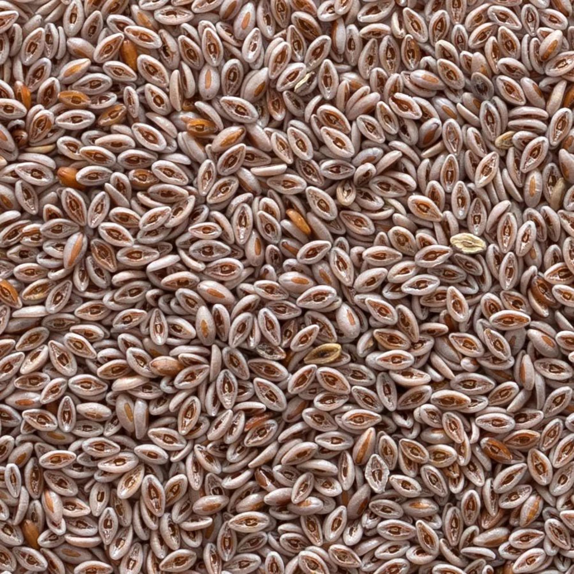 versatile psyllium for smoothies and baking