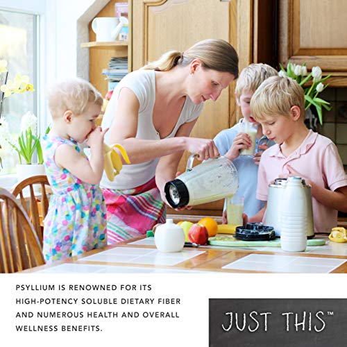 versatile psyllium powder for smoothies