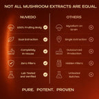 versatile reishi liquid for smoothies