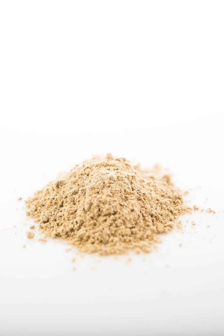 versatile reishi mushroom powder for smoothies