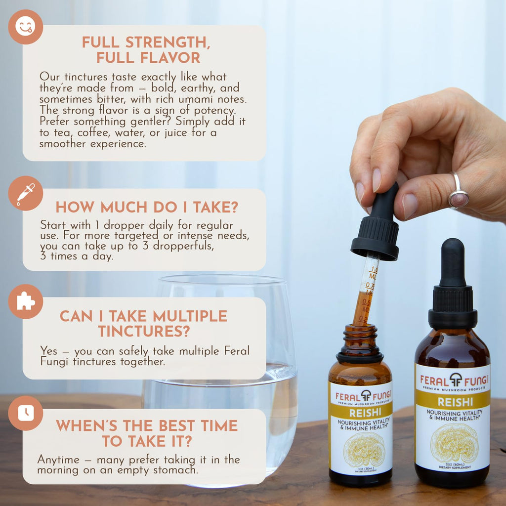 versatile reishi tincture for recipes