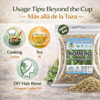 versatile rosemary for herbal teas