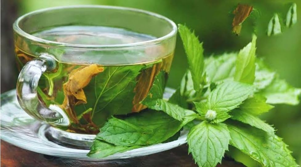 versatile scent leaves for brewing