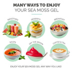 versatile sea moss gel recipes