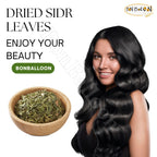 Versatile Seder Sidr leaves for cooking