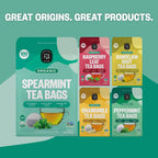 versatile spearmint tea for daily enjoyment
