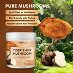 Versatile Tiger Milk Mushroom in recipes