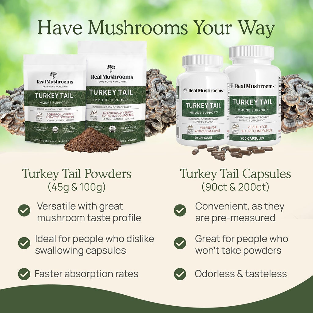 versatile turkey tail for smoothies
