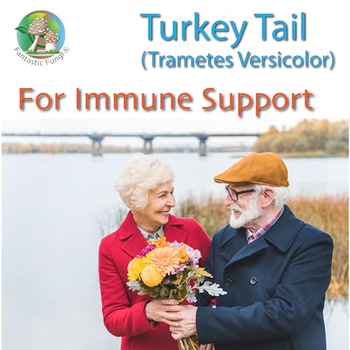 versatile turkey tail mushroom powder