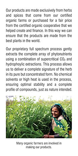 versatile turmeric powder for cooking