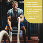 Versatile whey protein for smoothies